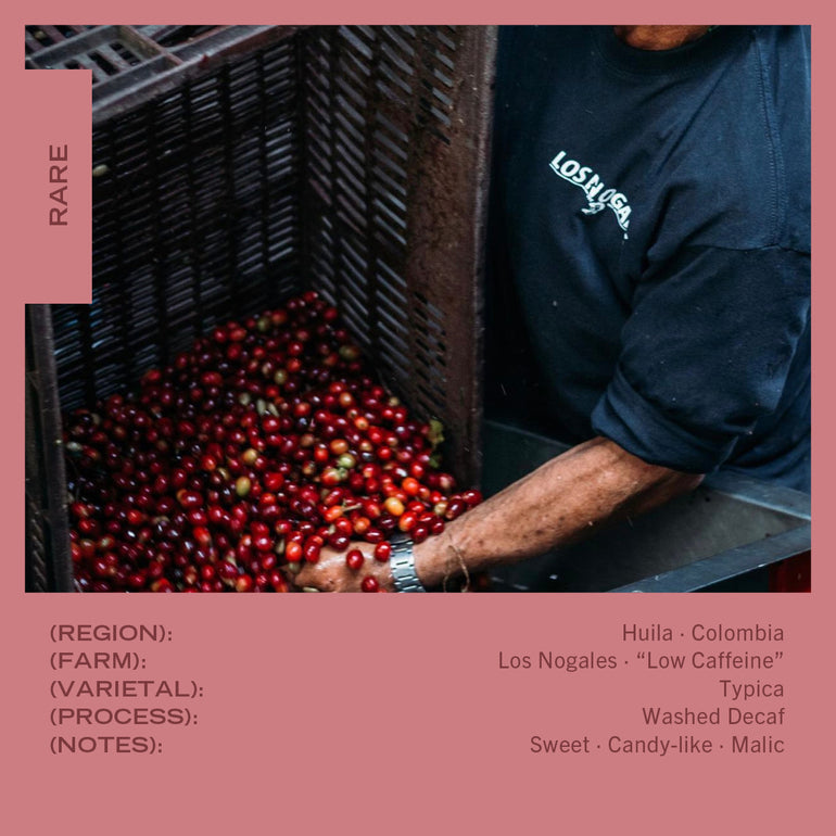 The Grounds Roastery Online Store